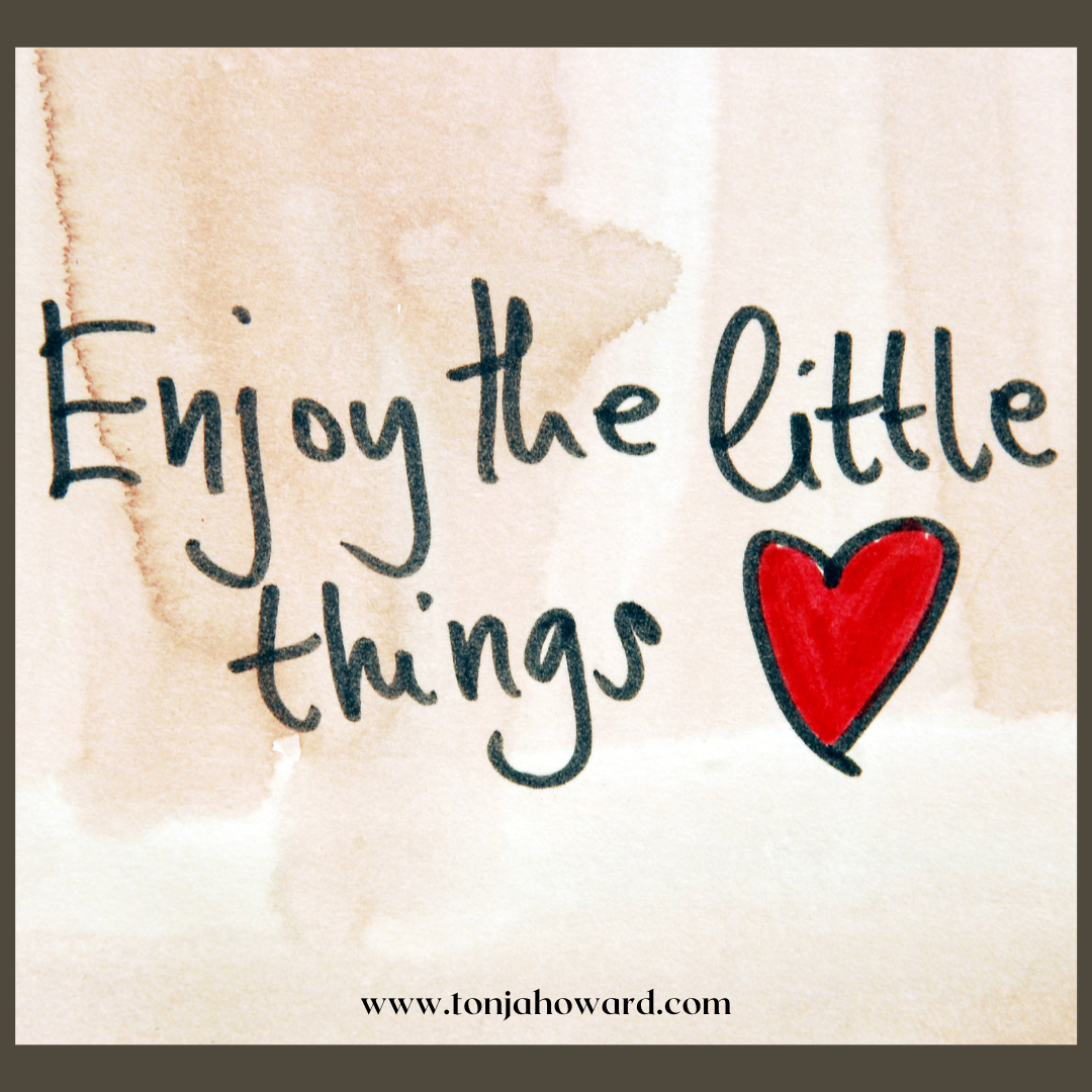 The Art of Appreciating Small Things – Virtues and Values for Kids